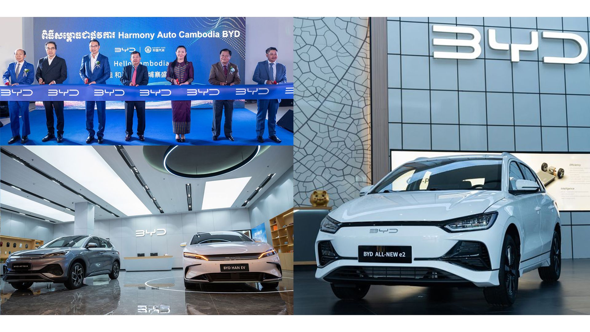 សាខា BYD ថ្មីចំនួន ២ ទៀត លេចមុខនៅកម្ពុជា ...